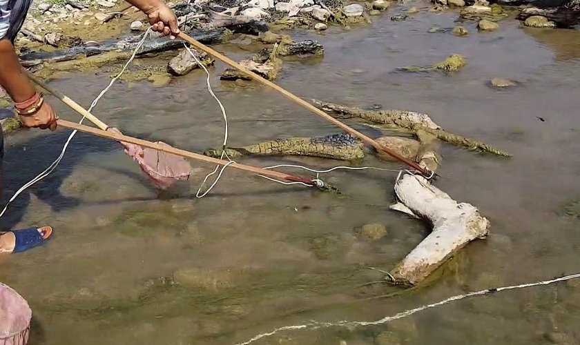 Nepal News | Nepal's First Online News Portal